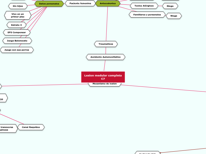 Ejercicio Terapeutico II - Mind Map
